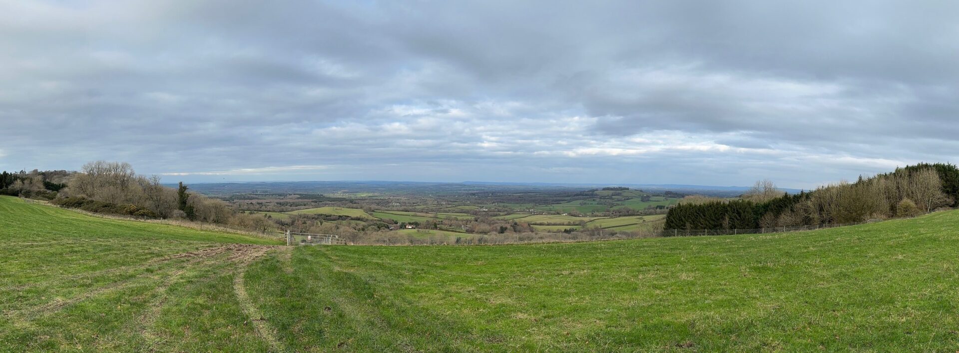 Wherefore the ‘black’ in Blackmore Vale? - The BV