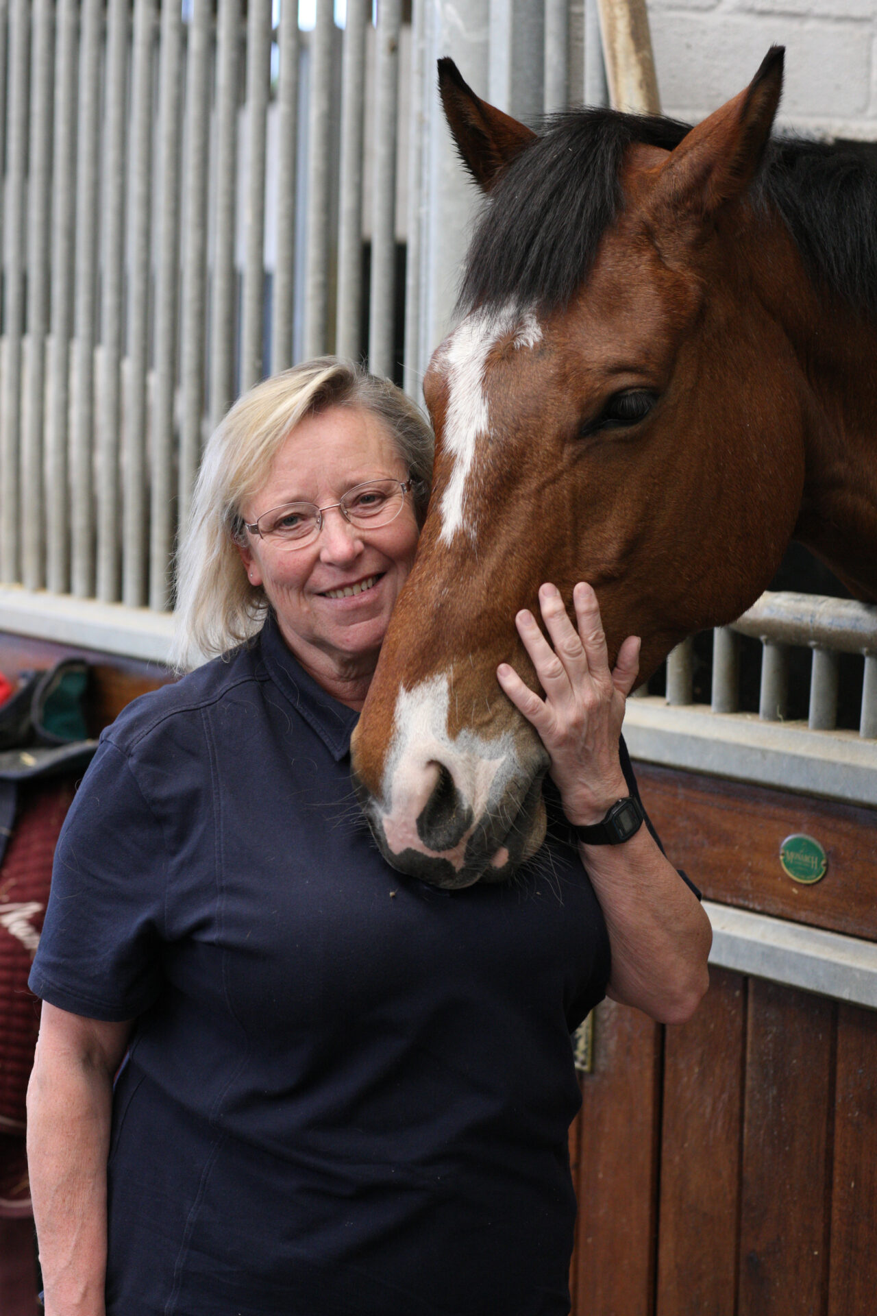 In the stable, not the spotlight - The BV